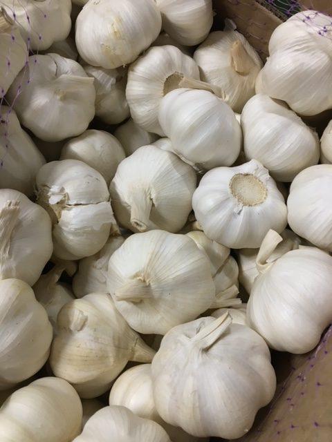 Fokhagyma (kg) - Zöldség-gyümölcs kis- és nagyker