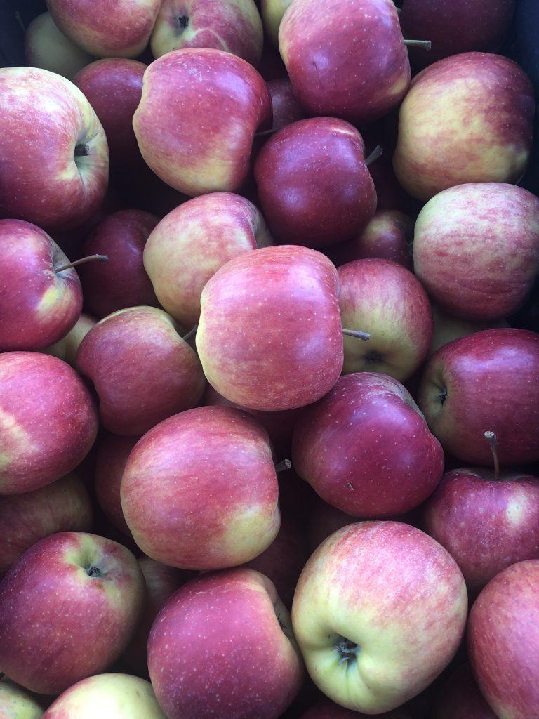 Alma Idared (kg) - Zöldség-gyümölcs kis- és nagyker